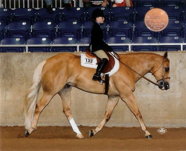 How Competitive Horseback Riding Prepared this College Junior For ...